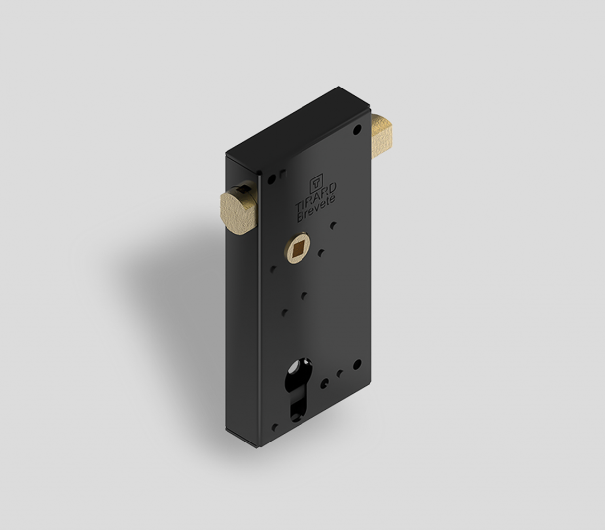 Poortslot nodig? Groot assortiment poortsloten.